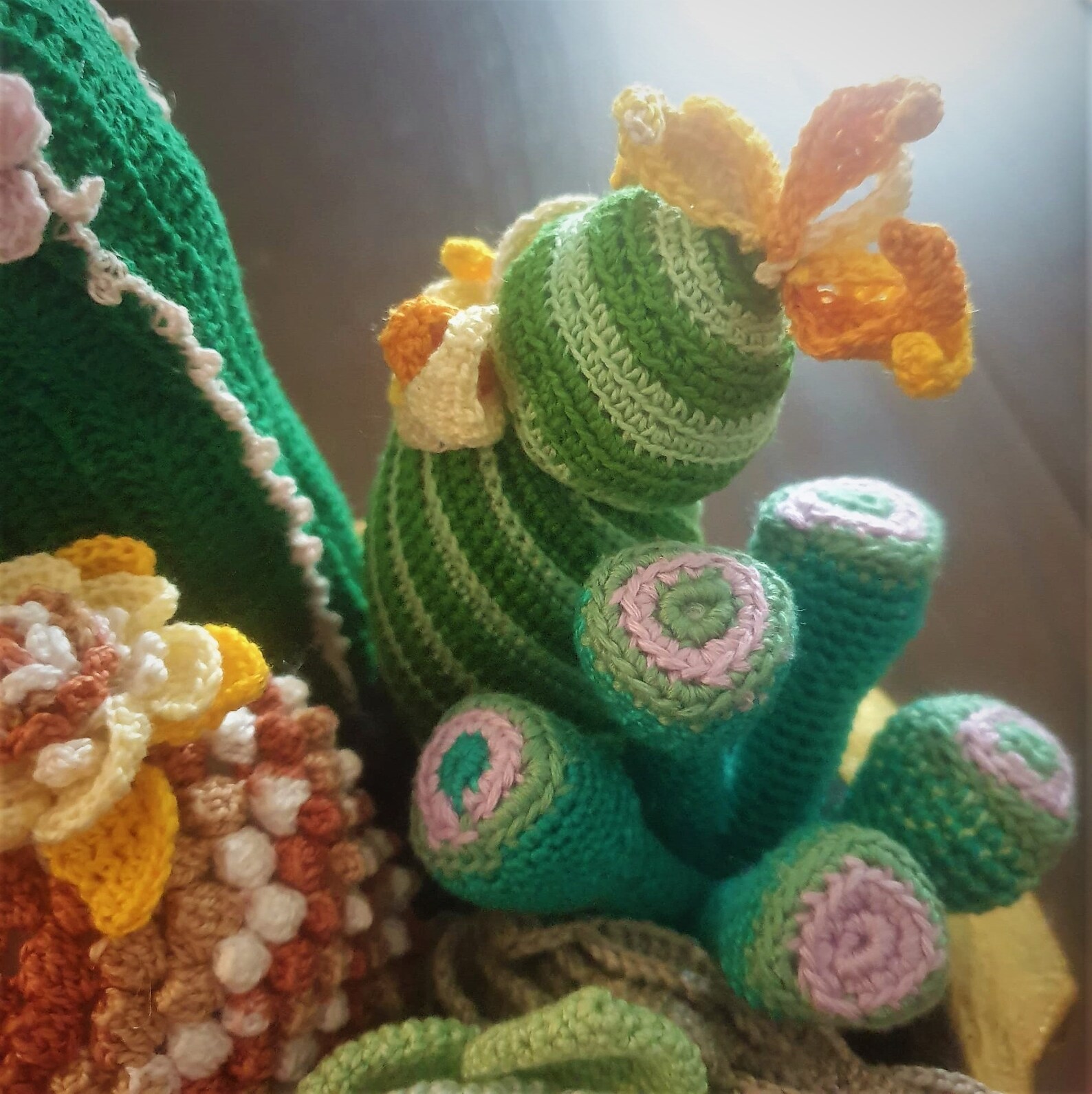 A Cactus Garden 10 Crochet Cactus Patterns Step by Step With Pictures ...