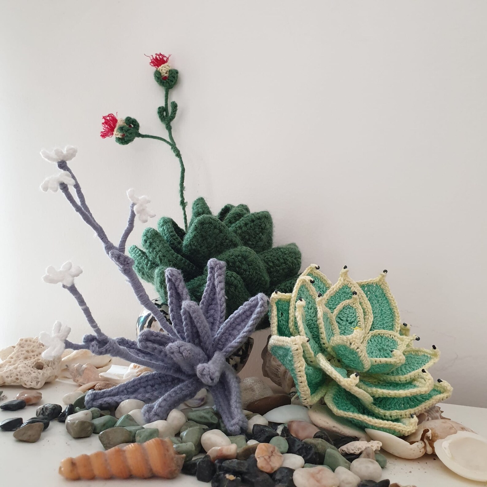 Succulent Trio PATTERN English and Spanish - Etsy