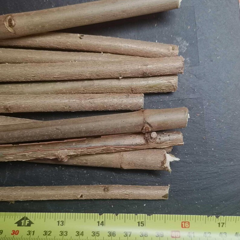 Thick Natural Hazel Wood Branches, Crafts & Decor - Celtic Craft ...