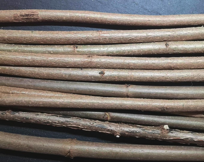 THICK Straight Hazel Sticks - Perfect for Whittling, Wood Crafts, Art ...