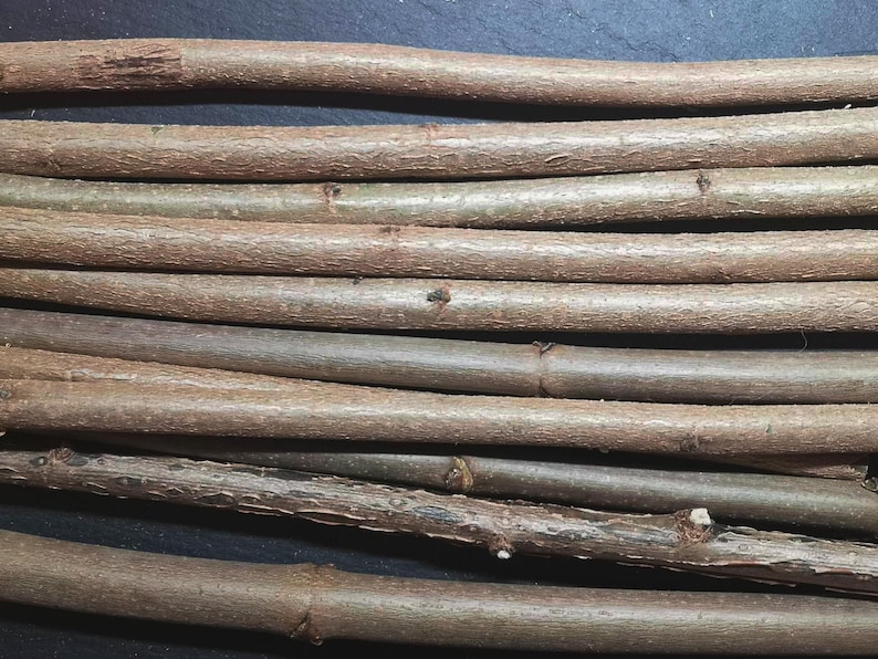 Thick Natural Hazel Wood Branches, Crafts & Decor Celtic Craft Supplies ...