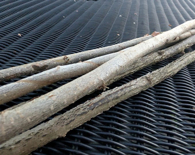 THICK Straight Hazel Sticks - Perfect for Whittling, Wood Crafts, Art ...