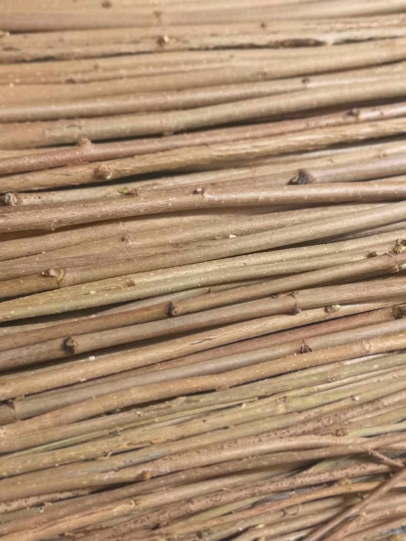 Thin Natural Hazel Wood Whips, Crafts Supplies - Celtic Craft Materials ...