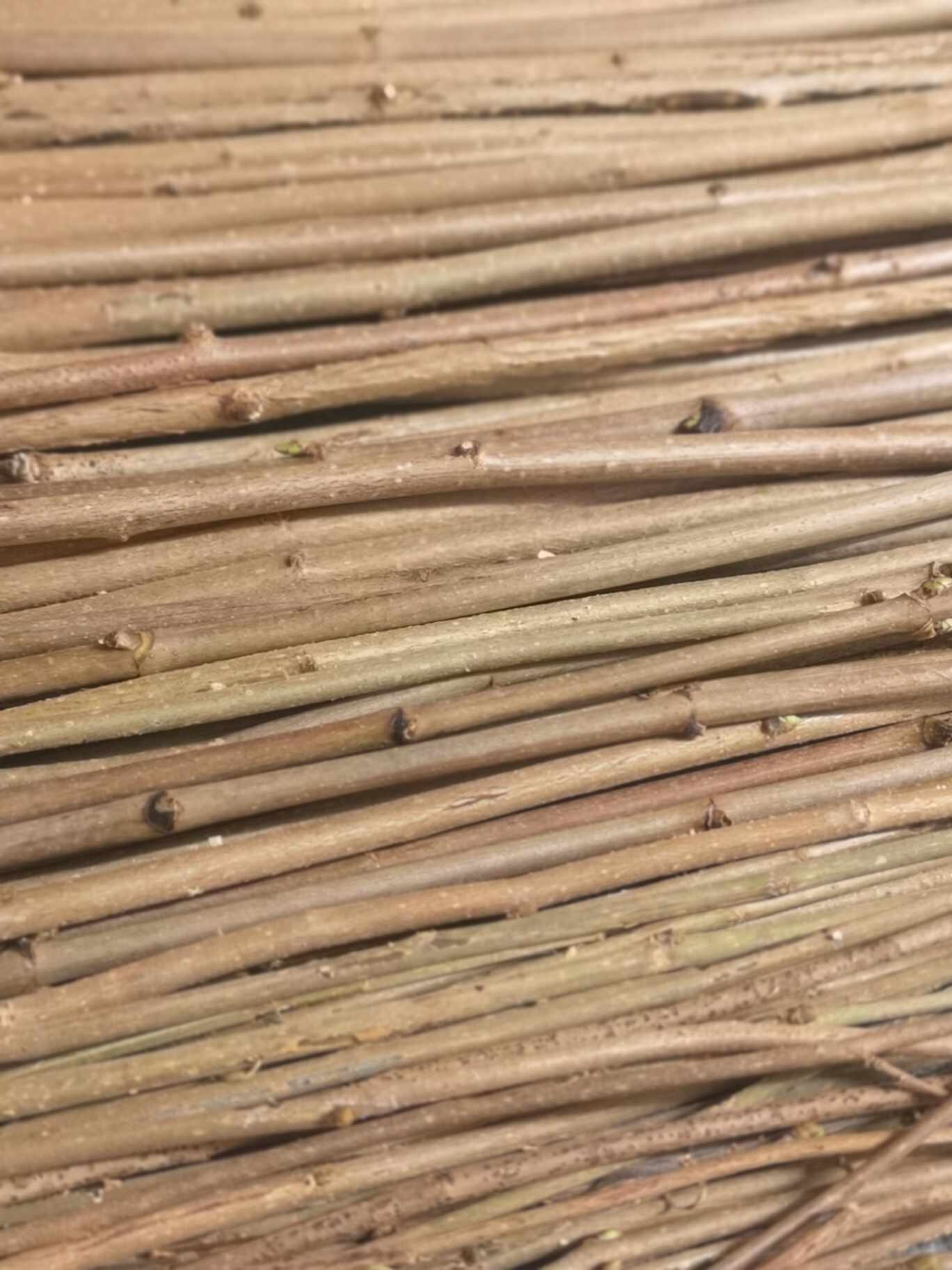 Thin Natural Hazel Wood Whips, Crafts Supplies - Celtic Craft Materials ...