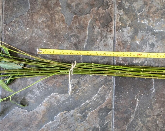 Thick Natural Hazel Wood Branches, Crafts & Decor - Celtic Craft ...