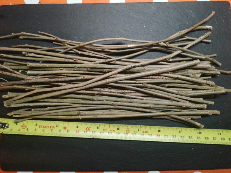 Thin Natural Hazel Wood Whips, Crafts Supplies - Celtic Craft Materials ...