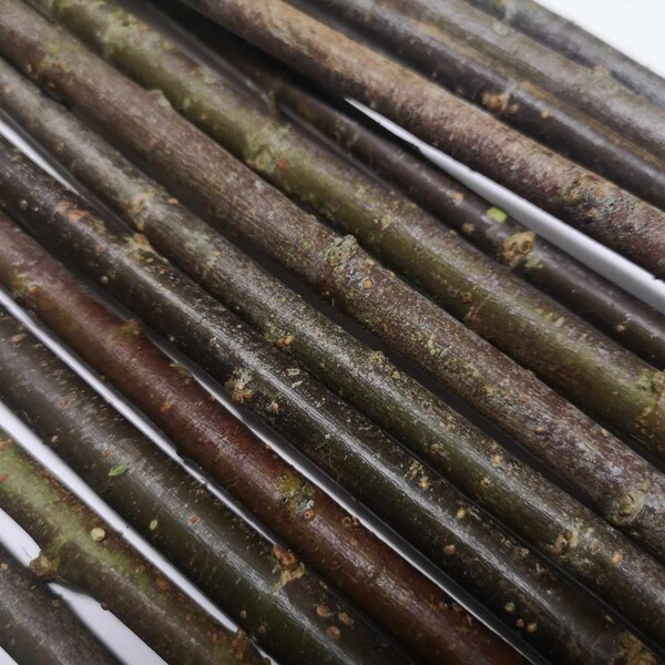 Willow Sticks - Etsy