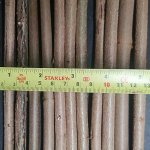 Thick Natural Hazel Wood Branches, Crafts & Decor - Celtic Craft ...
