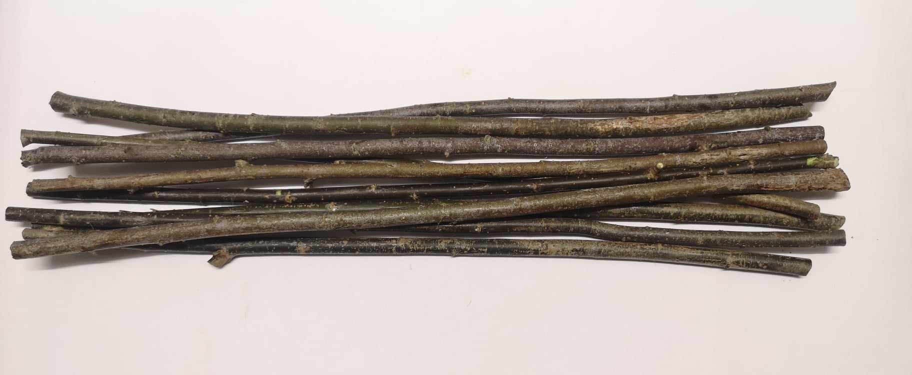 Thick, Fresh Green Willow Sticks, Craft Supply - Celtic Raw Materials ...