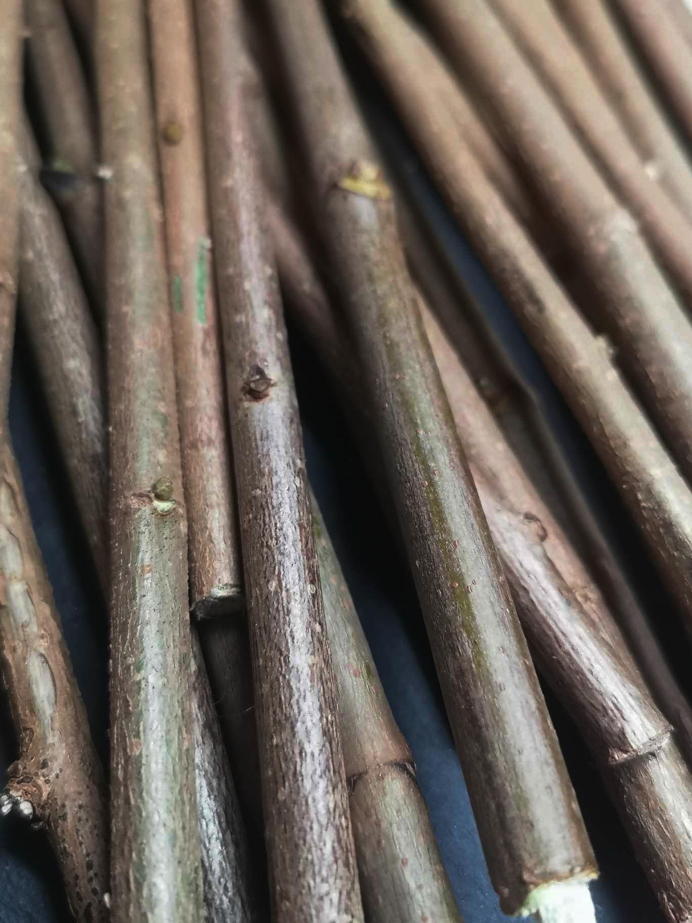 THICK Straight Hazel Sticks - Perfect for Whittling, Wood Crafts, Art ...