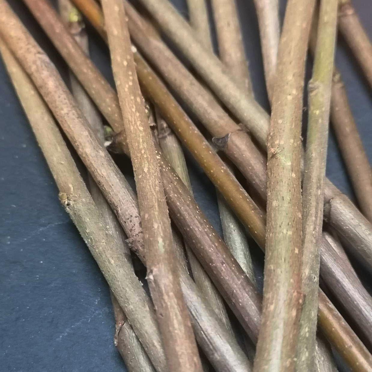 THICK Straight Hazel Sticks - Perfect for Whittling, Wood Crafts, Art ...