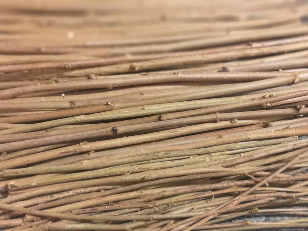 Thin Natural Hazel Wood Whips, Crafts Supplies - Celtic Craft Materials ...