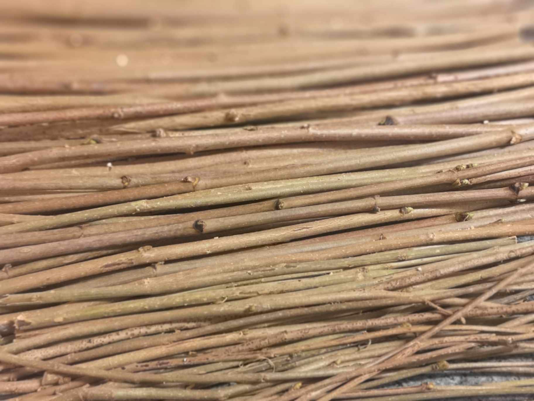 Thin Natural Hazel Wood Whips, Crafts Supplies - Celtic Craft Materials ...