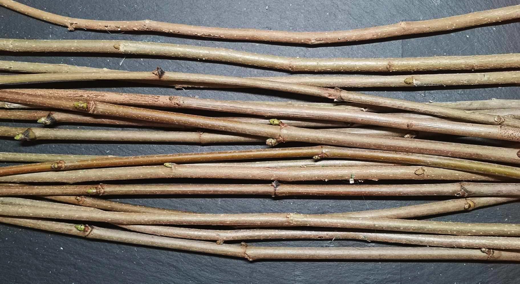 Medium Natural Hazel Wood Sticks, Crafts Supplies - Celtic Craft ...