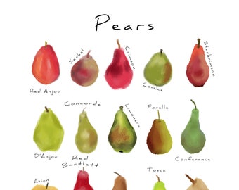 Pear Name Chart - Etsy