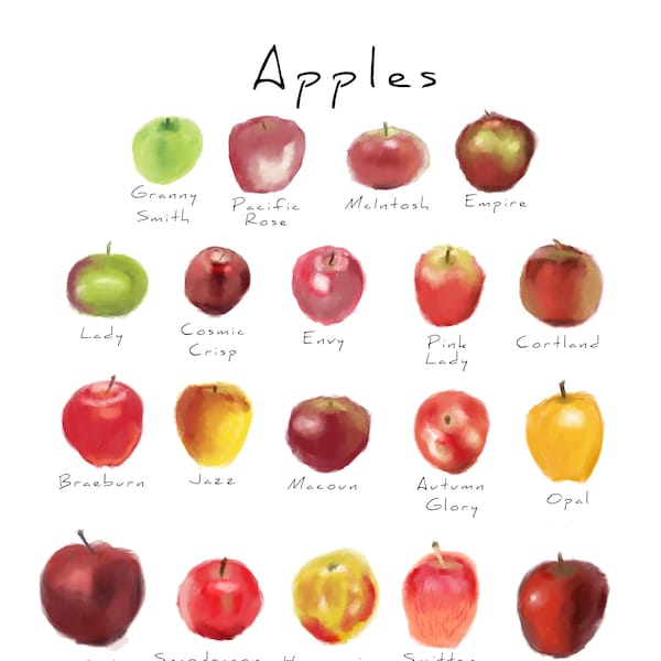 Red Apple Print - Etsy