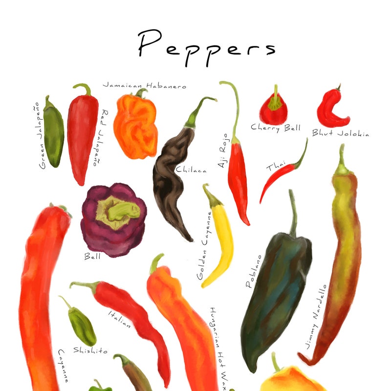 Pepper Painting - Etsy