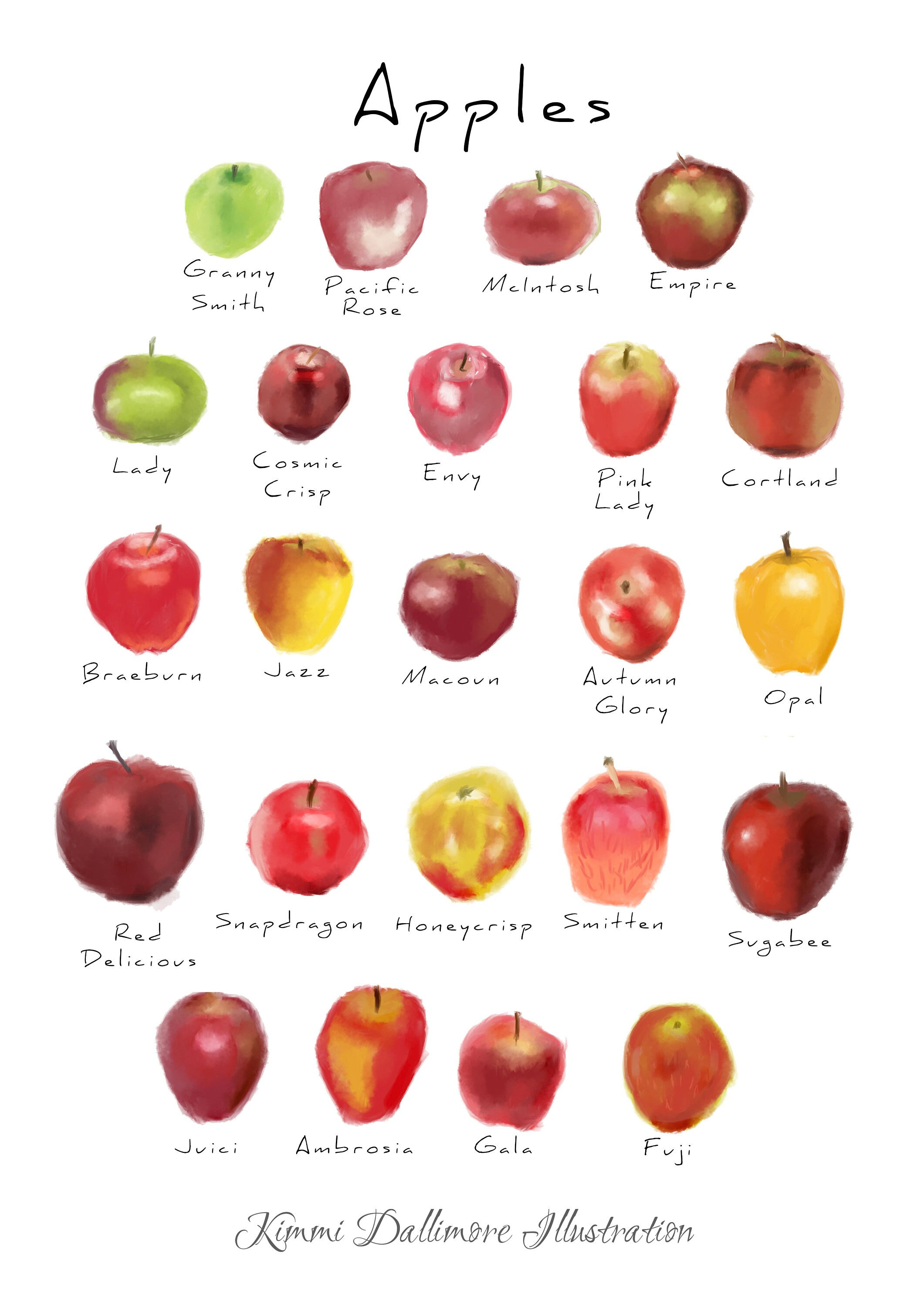 Apple Varieties Chart