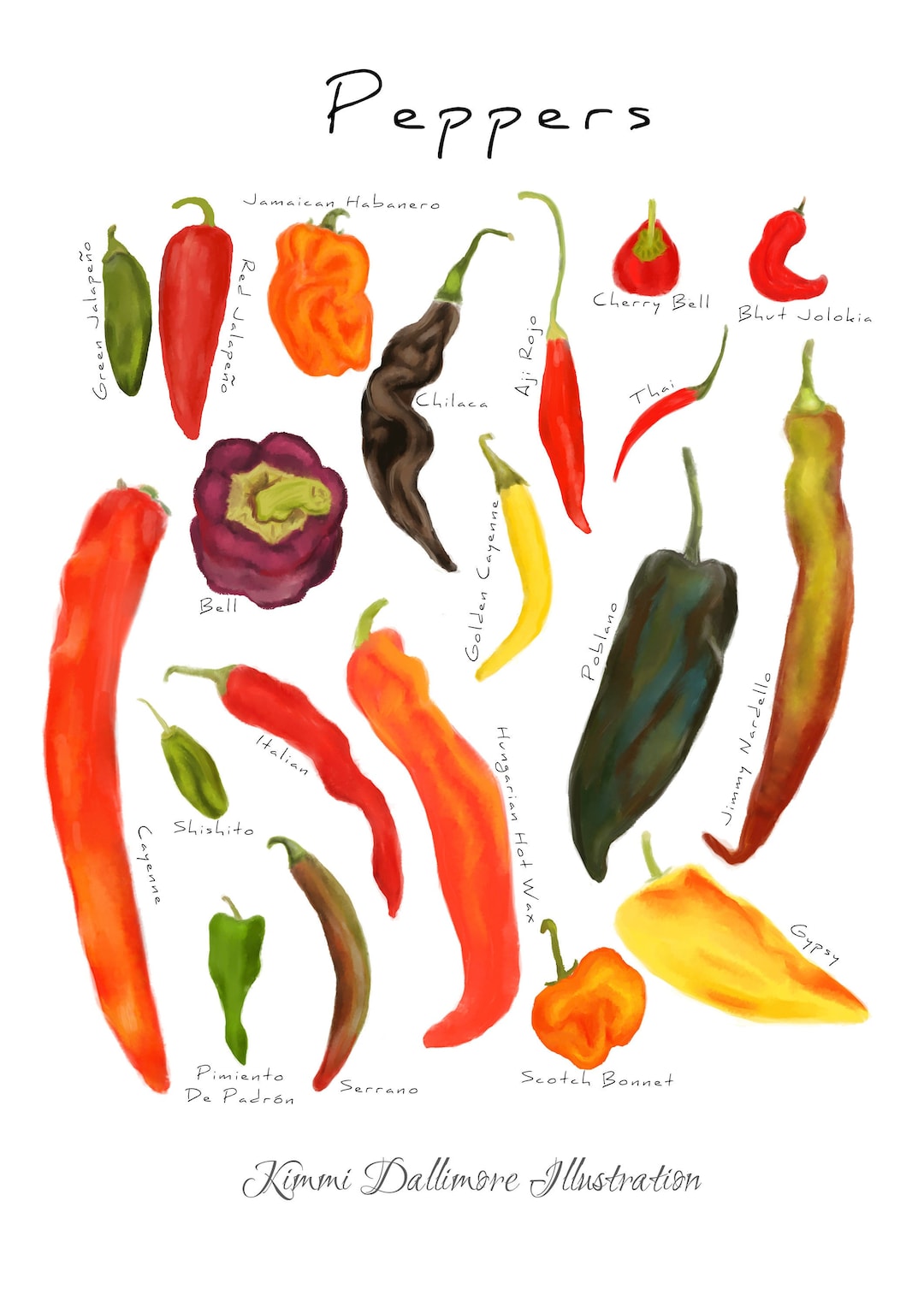 Chilli Pepper Art Print, Peppers Wall Chart, Peppers Print, Food ...