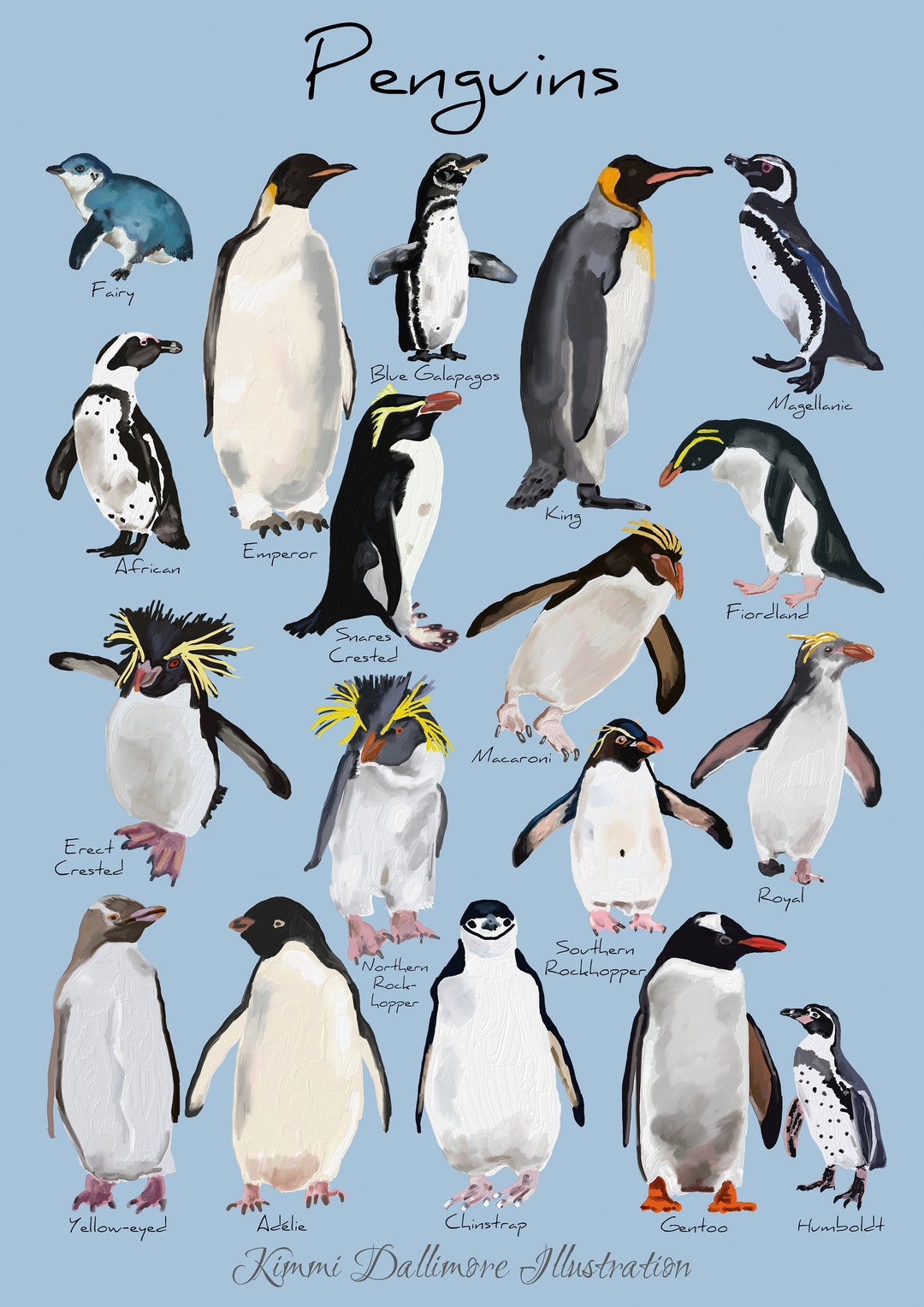 Penguins Illustration Art Print, Penguin Wall Chart, Penguin Breed Art ...
