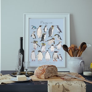 Penguins Illustration Art Print, Penguin Wall Chart, Penguin Breed Art ...
