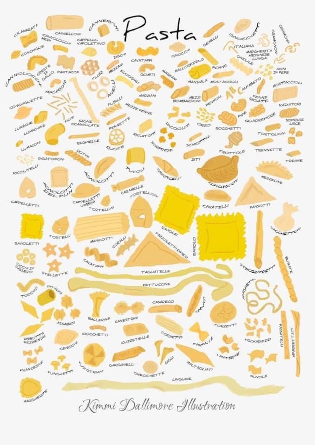 Pasta - 11.7 X 16.5 In. Food Chart, Illustrations, Pasta Varieties ...
