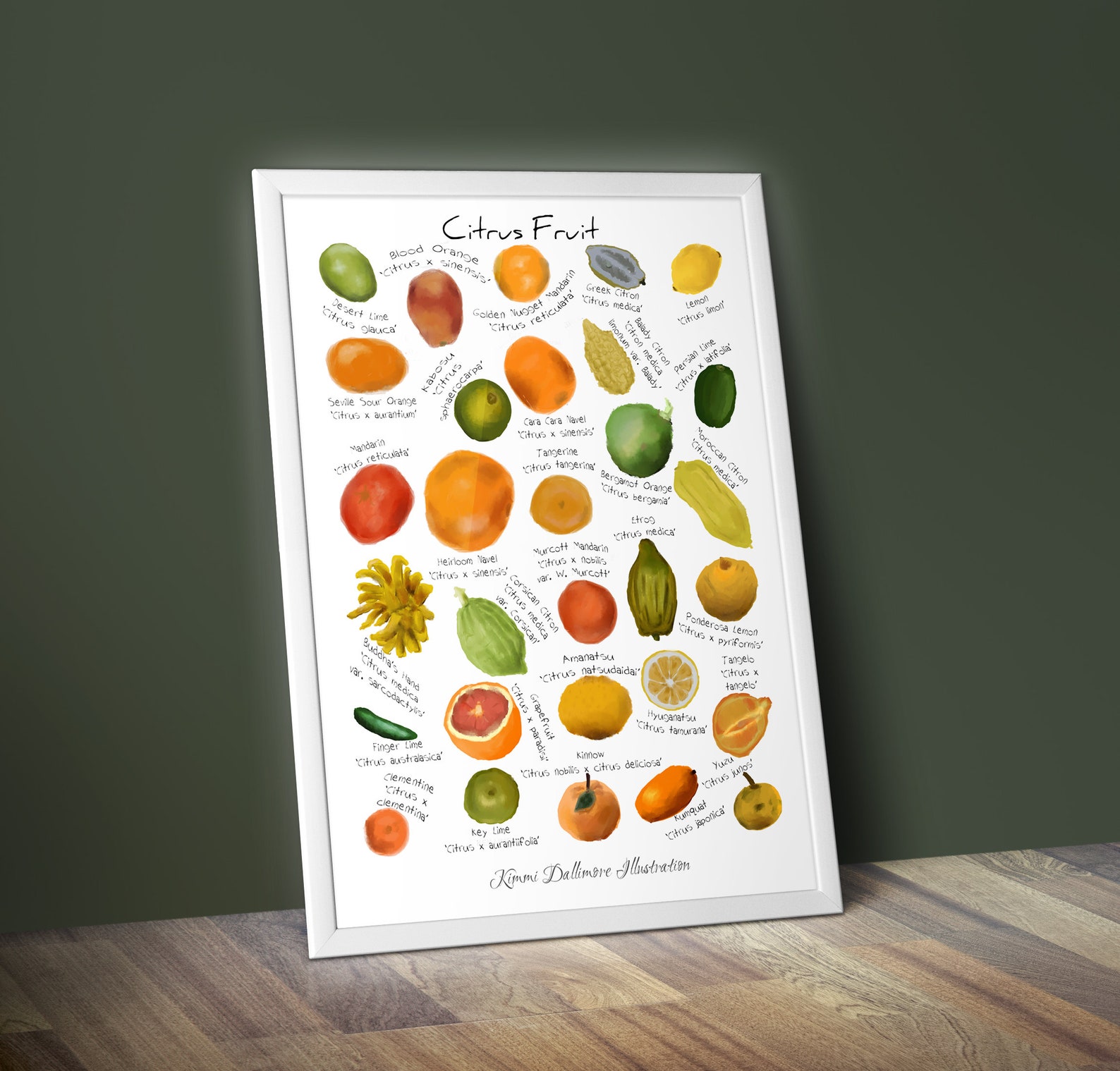 Citrus Art Print Fruit Identification Wall Chart Lemon and Orange ...