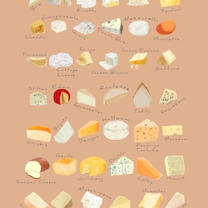 Cheese Chart Art Print: Food Wall Decor, Kitchen Illustration (A3) - Etsy