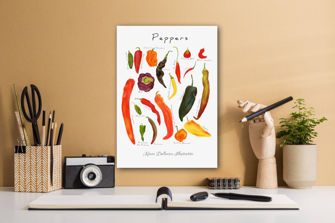 Chilli Pepper Art Print Peppers Wall Chart Peppers Print - Etsy
