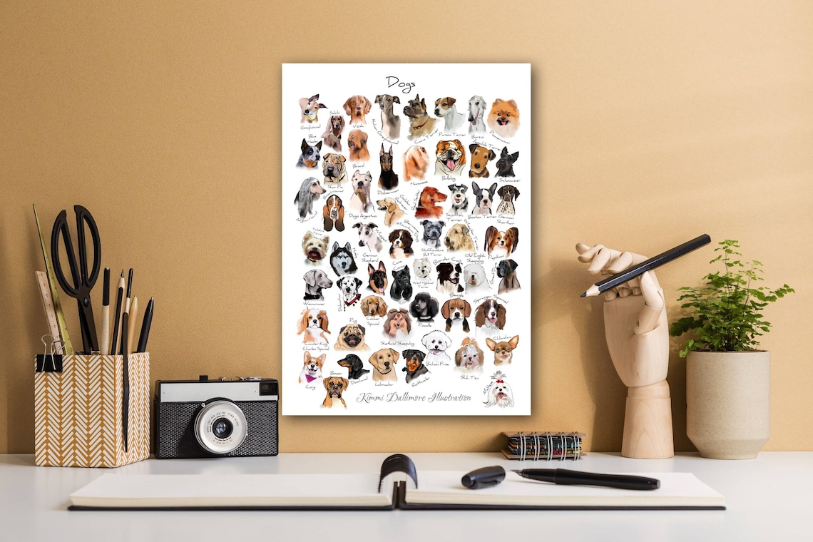 Dog Breed Illustration, Dog Varieties Wall Chart, Dog Types Art Print ...