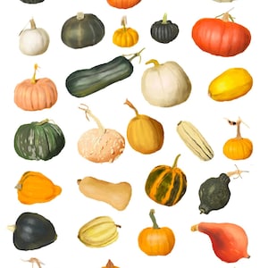 Pumpkins Squash - 11.7 X 16.5 in Art Print, Food, Home Decor ...