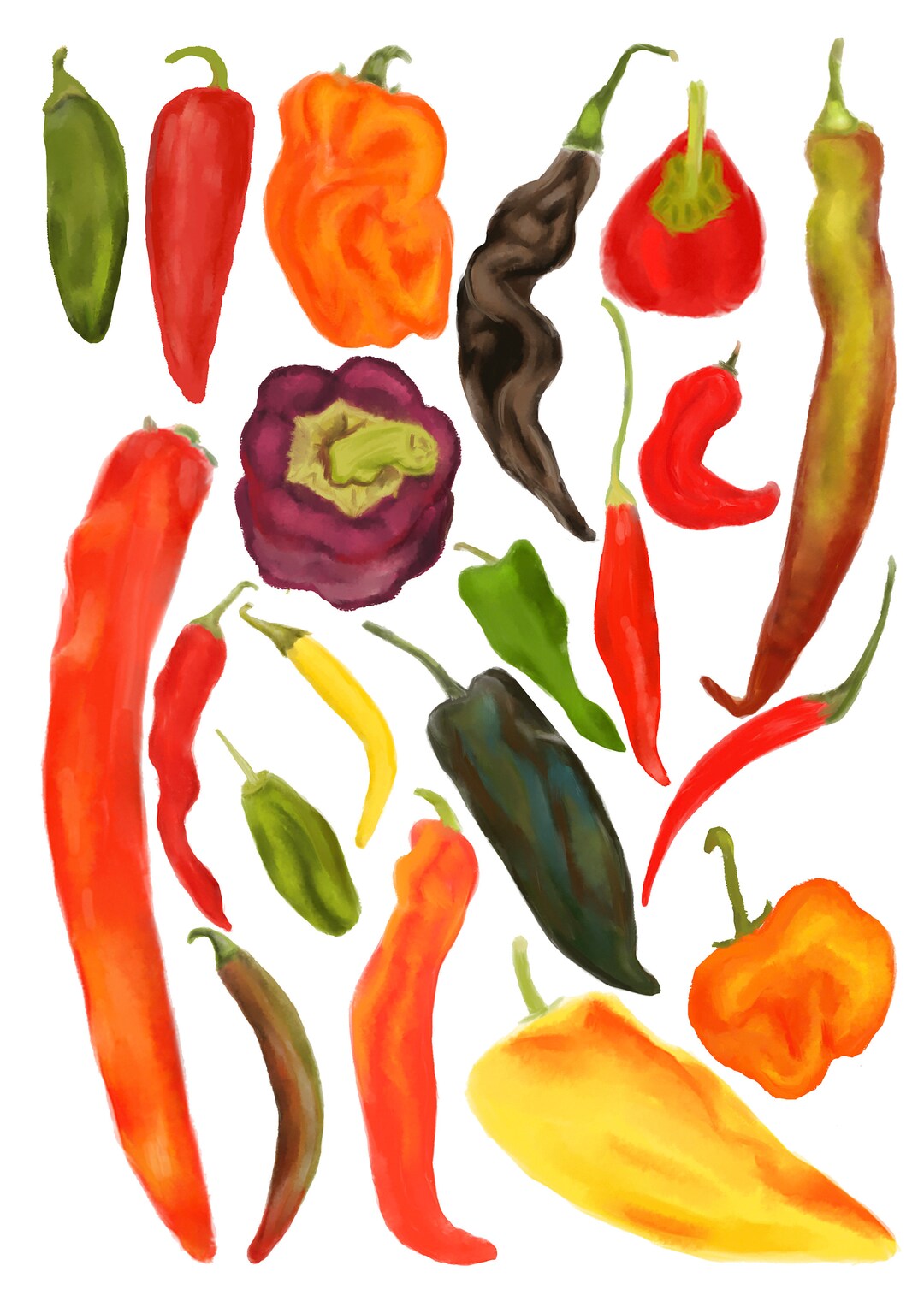 Pepper Illustrations Painting Art A3 Print - Vibrant Culinary Artwork ...