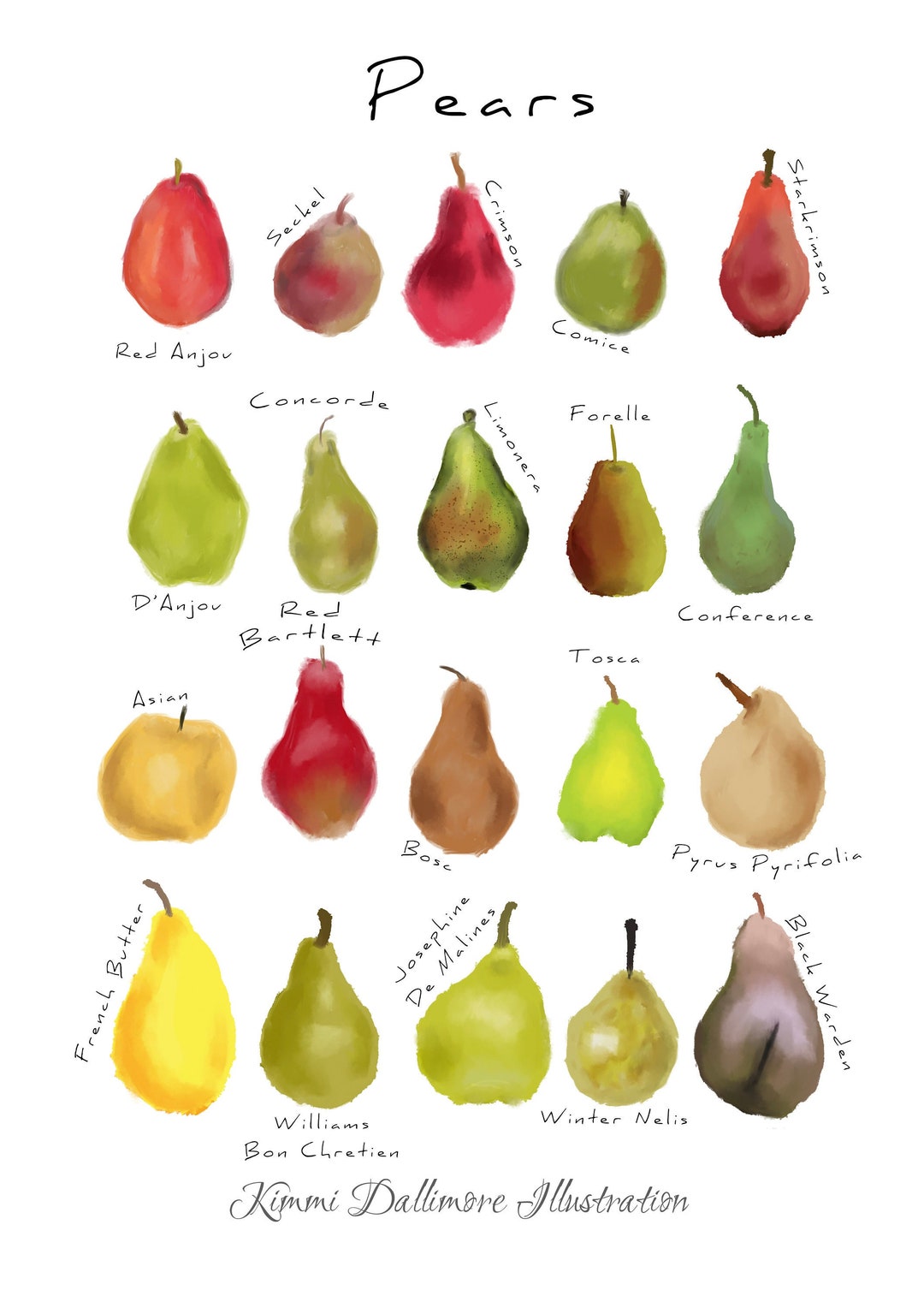 Pear Illustration Art Print, Pear Wall Chart, Fruit Painting Art Print ...