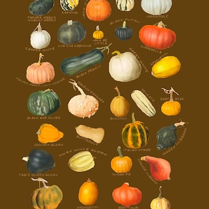 Pumpkins Squash - 11.7 X 16.5 in Art Print, Food, Home Decor ...