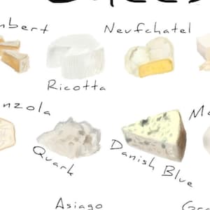 Cheese Chart Art Print: Food Wall Decor, Kitchen Illustration (A3) - Etsy