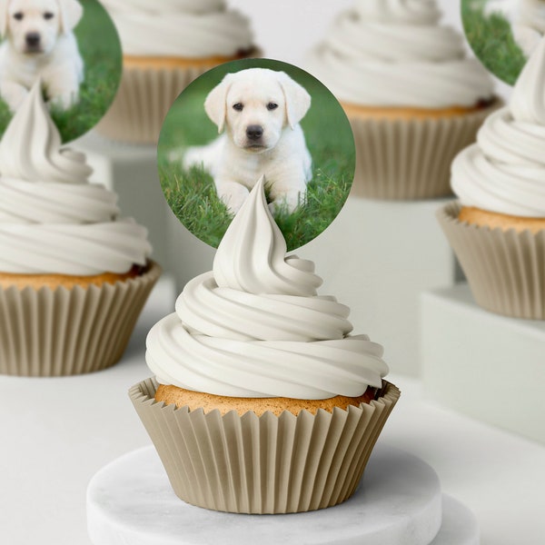 Labrador Cake Topper - Etsy