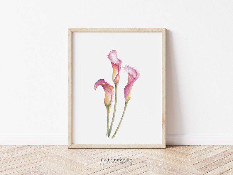 Calla Lily Print, Botanical Wall Art Prints, Flower Printable Wall Art ...