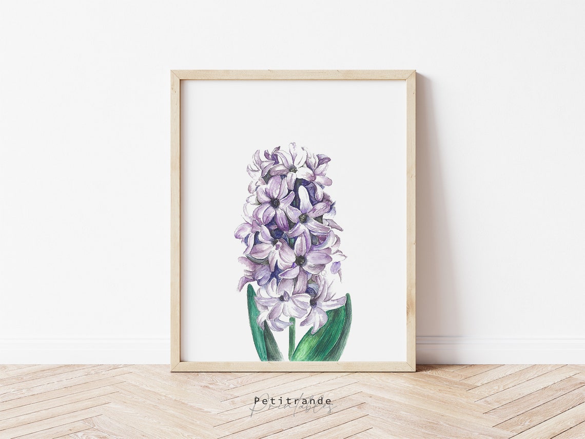 Purple Hyacinth Print, Printable Hyacinth Wall Art, Purple Floral Wall ...