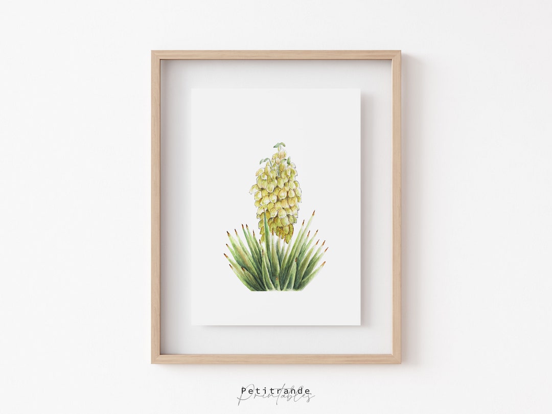 Yucca Plant Print, New Mexico's Flower, Botanical Prints, Printable ...
