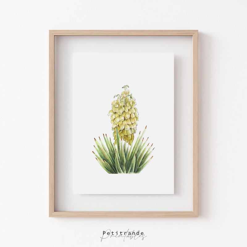 Yucca Flower - Etsy