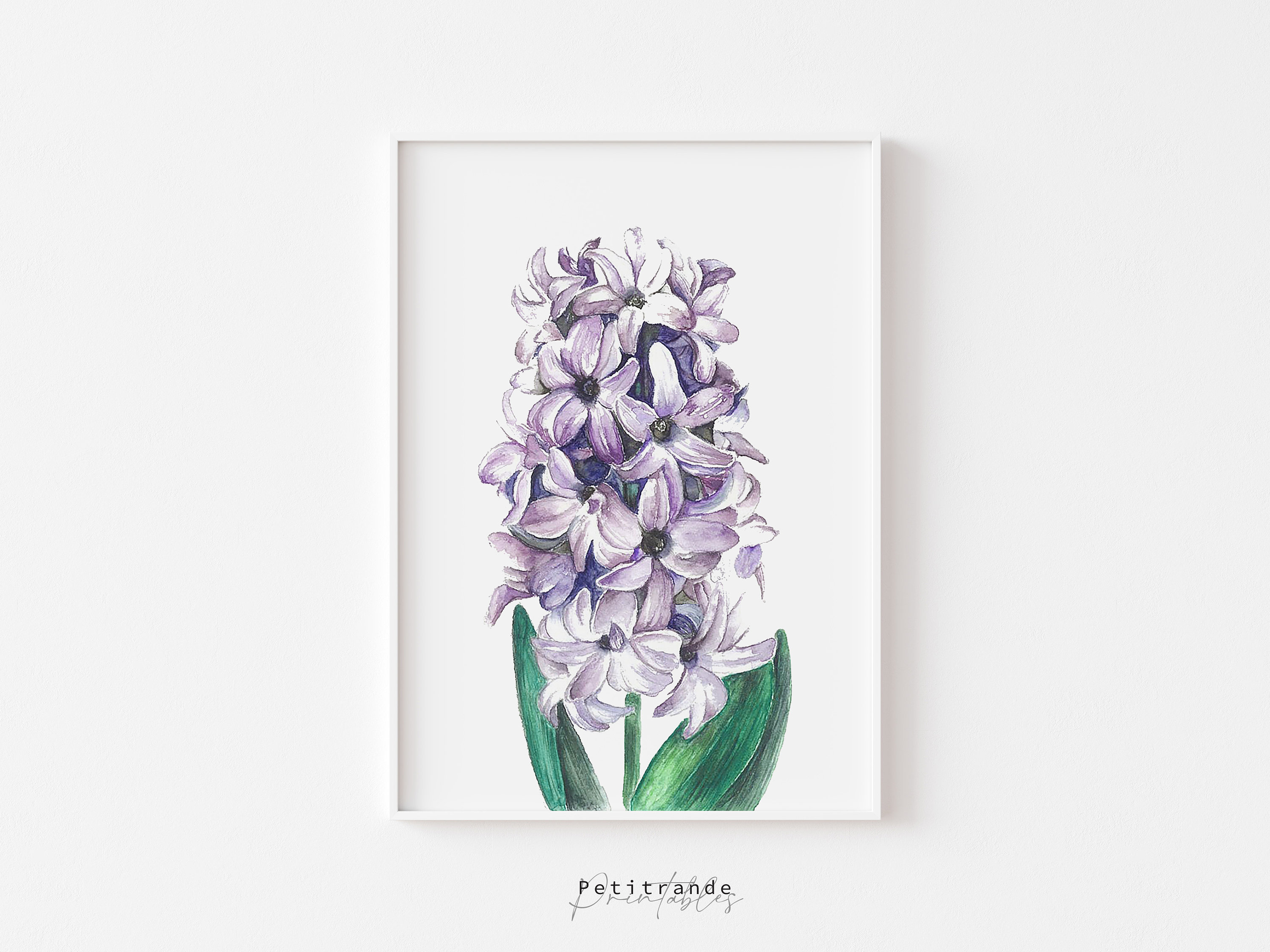 Purple Hyacinth Print, Printable Hyacinth Wall Art, Purple Floral Wall ...
