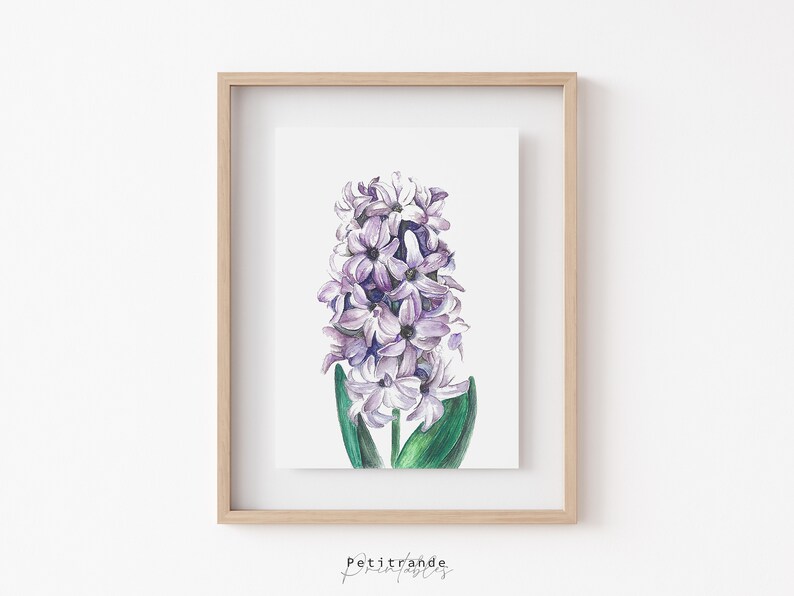 Purple Hyacinth Print, Printable Hyacinth Wall Art, Purple Floral Wall ...
