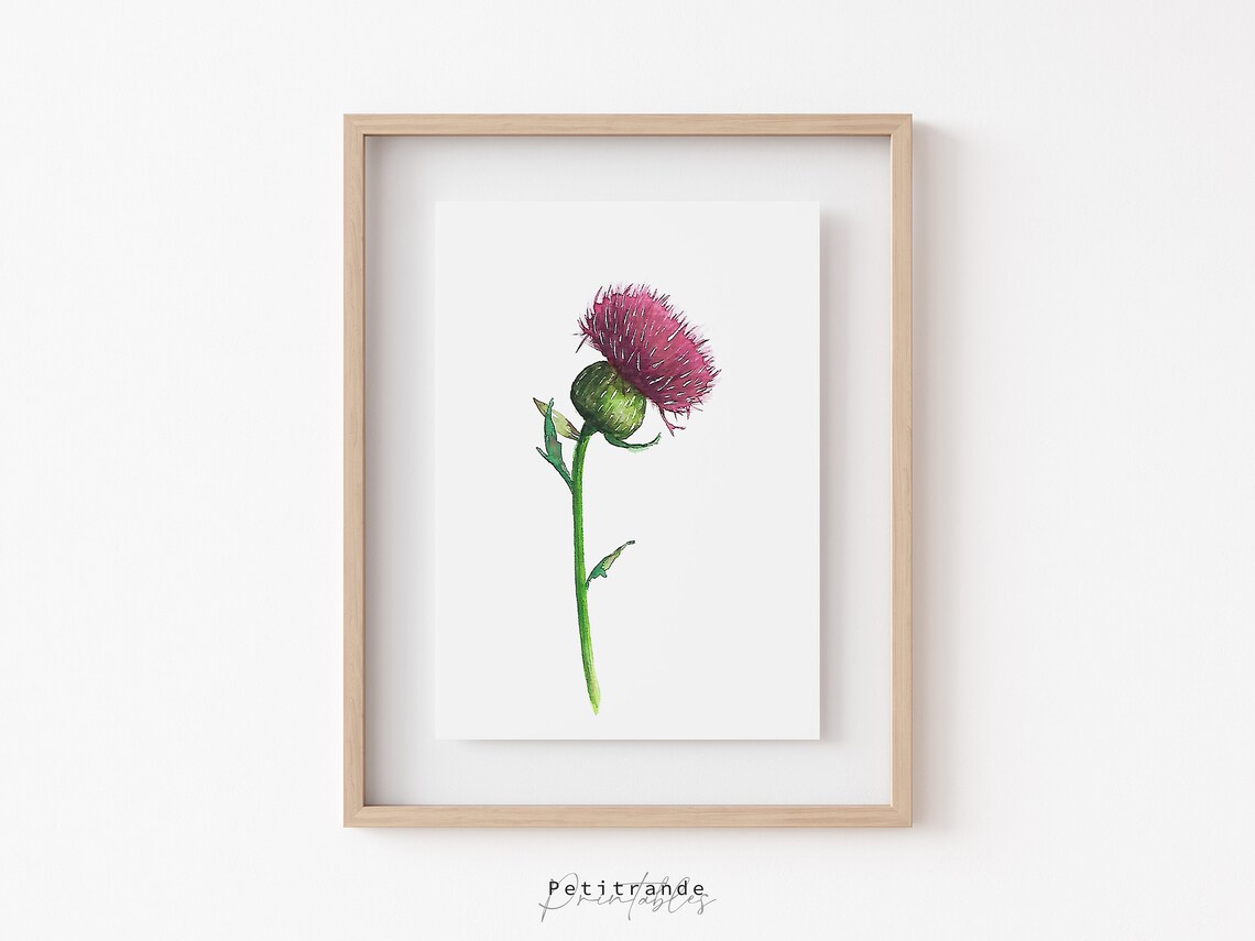 Thistle Print, Botanical Wall Art Prints, Flower Printable Wall Art ...