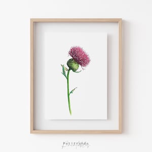 Thistle Print, Botanical Wall Art Prints, Flower Printable Wall Art ...