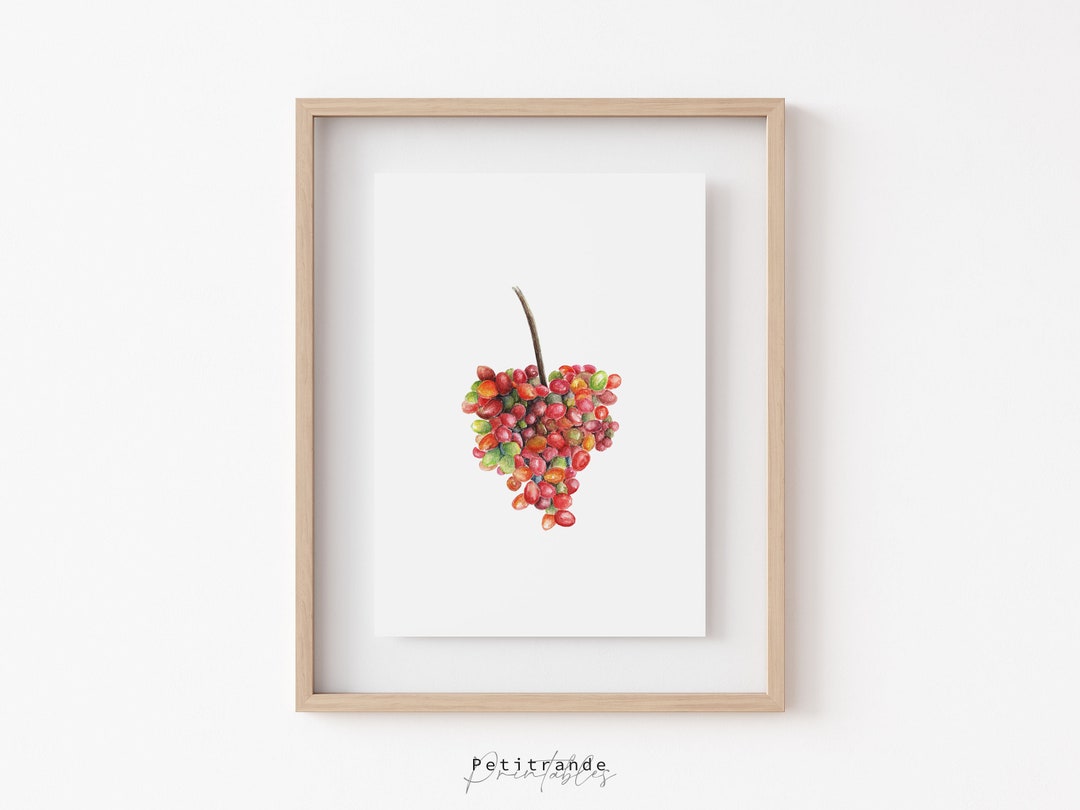 Dates Fruit Print, Date Palm Tree Painting, Botanical Drawing Print ...