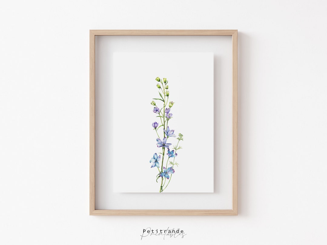 Larkspur Print, July Flower, Botanical Wall Art Prints, Printable Wall ...