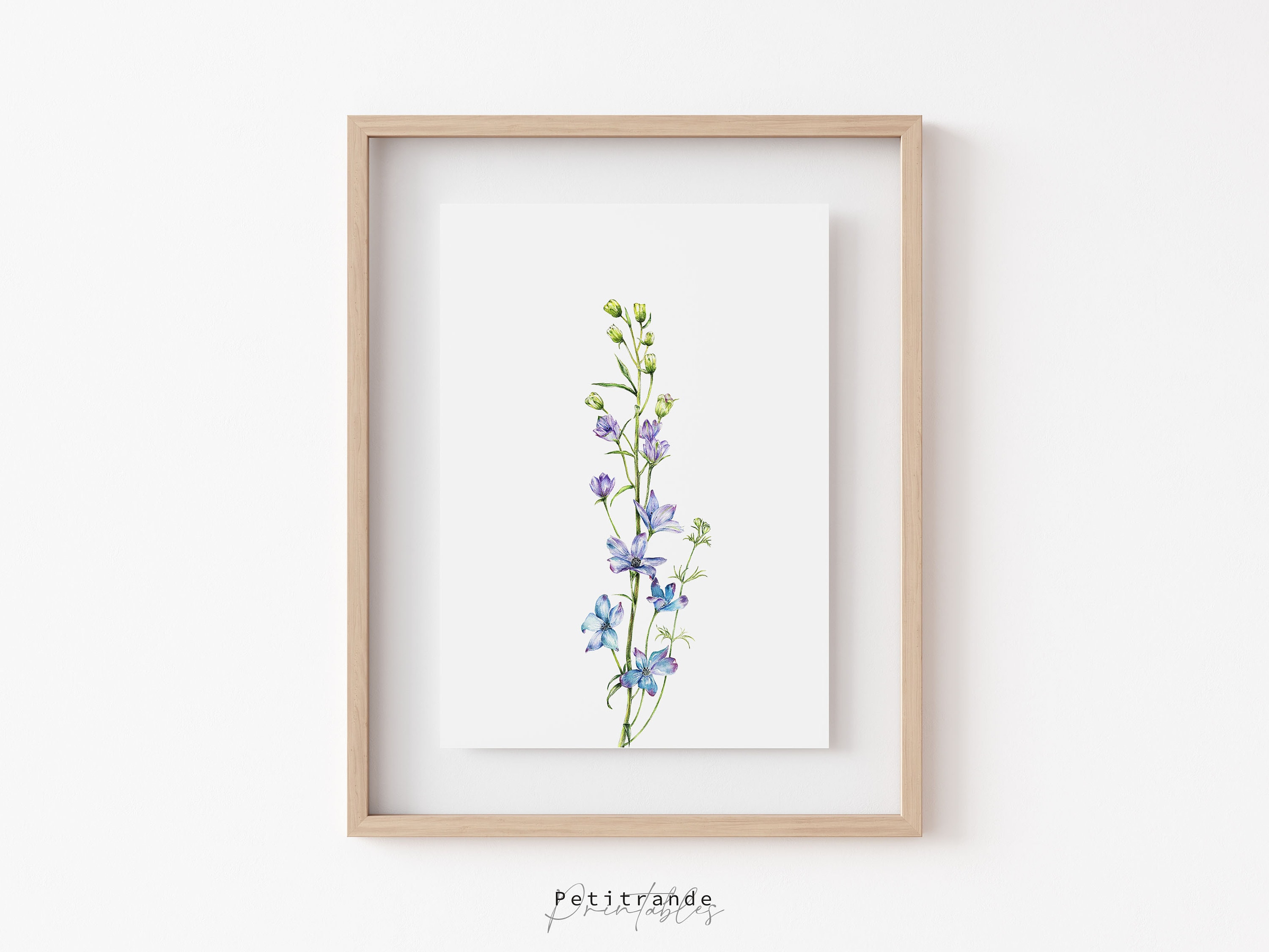 Larkspur Print, July Flower, Botanical Wall Art Prints, Printable Wall ...