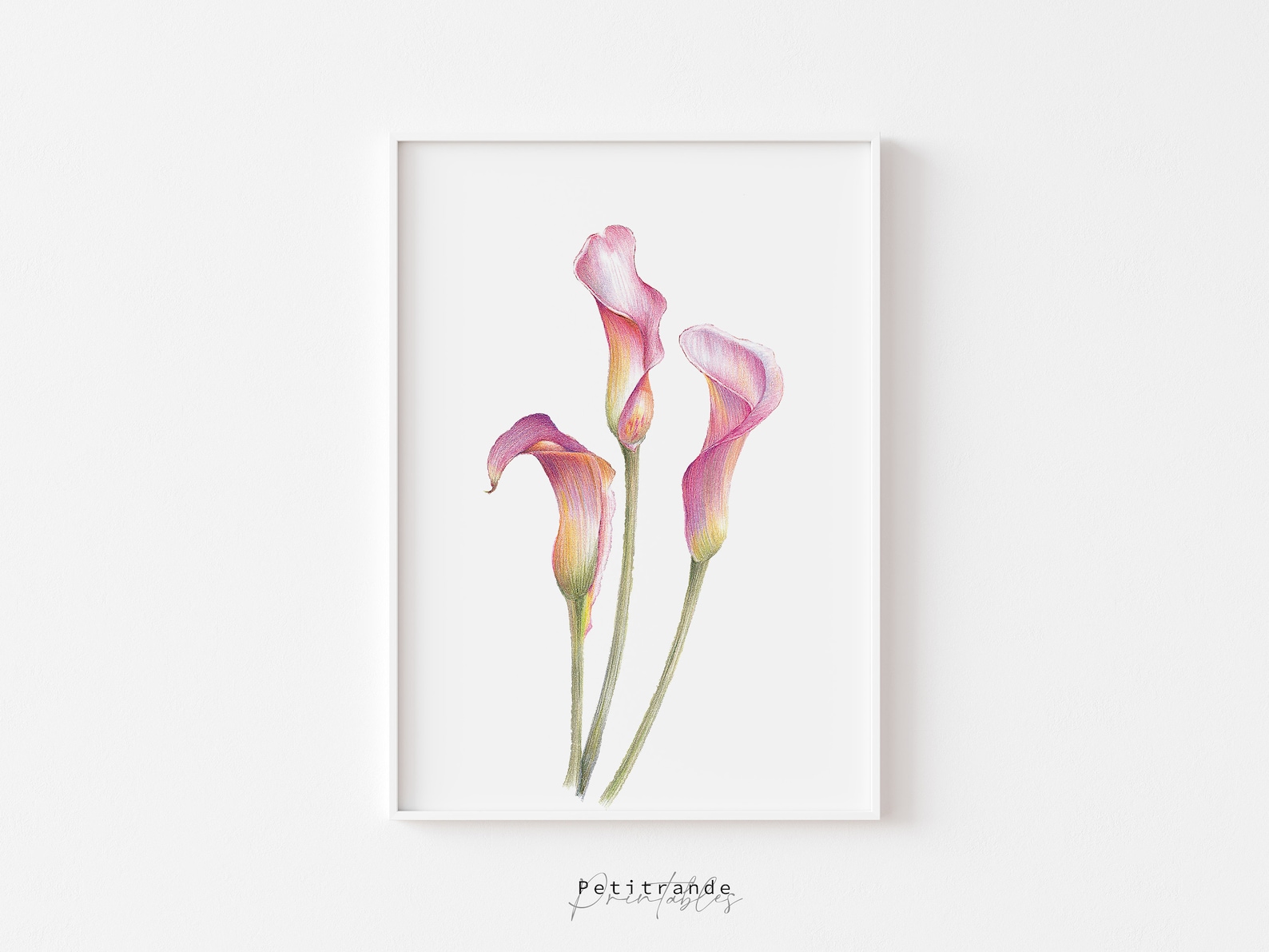Calla Lily Print, Botanical Wall Art Prints, Flower Printable Wall Art ...