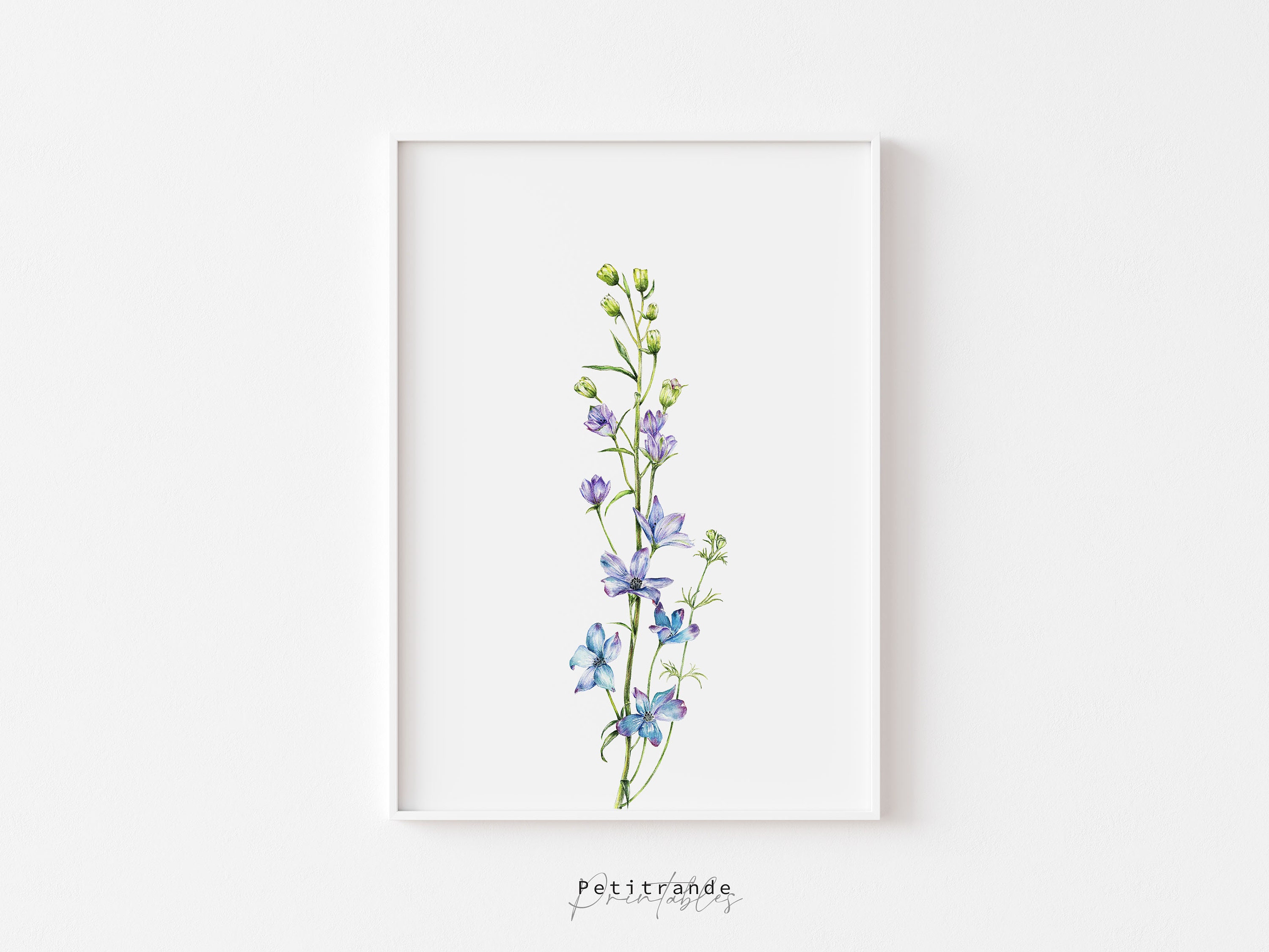 Larkspur Print, July Flower, Botanical Wall Art Prints, Printable Wall ...