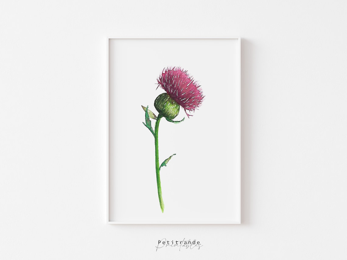 Thistle Print, Botanical Wall Art Prints, Flower Printable Wall Art ...
